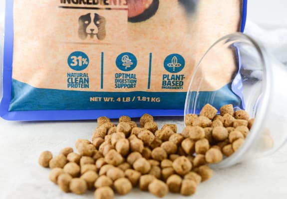 Wild Earth Dog Food Review [Is Vegan Dog Food Safe?]