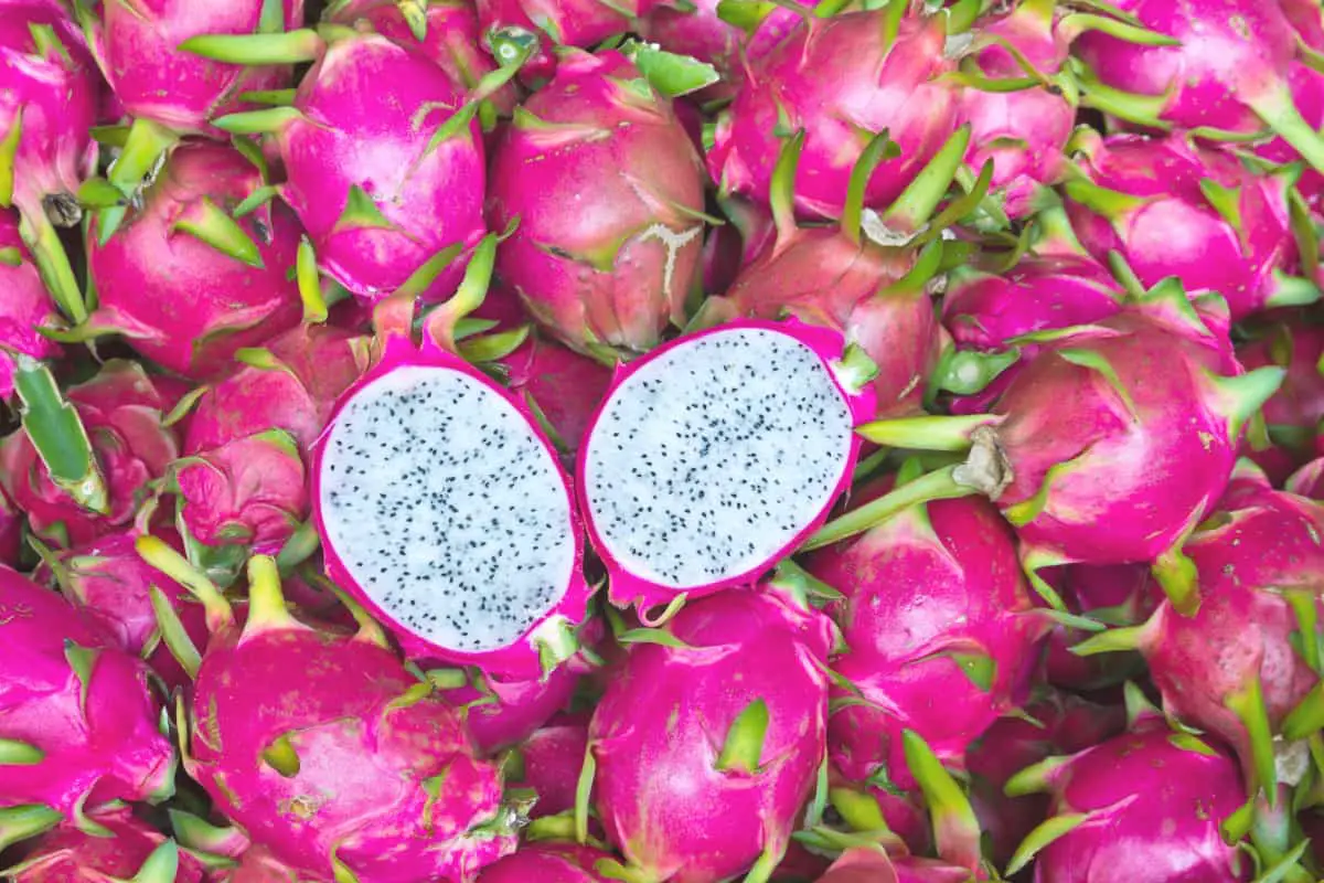What Does Dragon Fruit Taste Like? [Plus, What Are The Different Types]