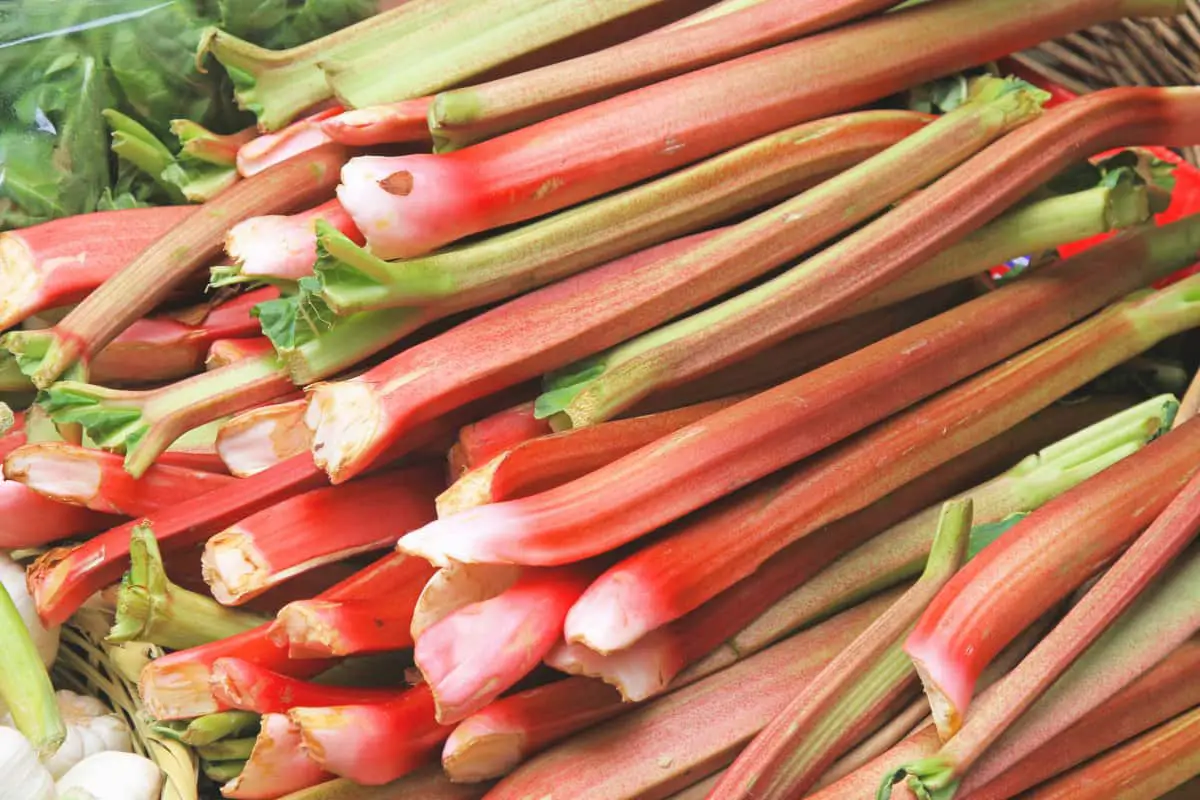 What Does Rhubarb Taste Like? [Plus, Delicious Ideas For Using It]