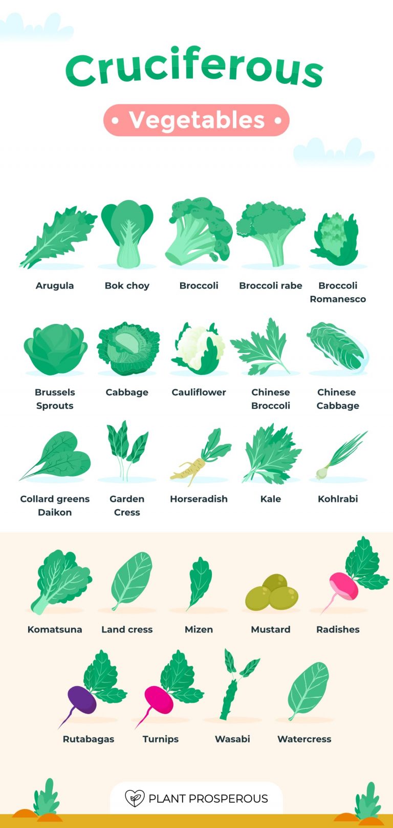 Ultimate List of Fruits and Vegetables from A to Z - Plant Prosperous